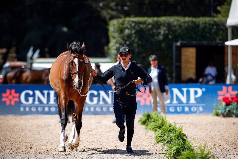 The Longines Global Champions Tour Mexico presented by GNP Mexico ...